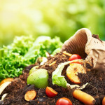 Composting 201: Advanced Tips for Taking Your Compost to the Next Level ...