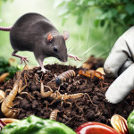 Composting with Yard Waste: Transforming Garden Clippings into Compost ...