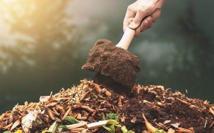 Composting and Climate Change: How Your Compost Pile Helps the Planet